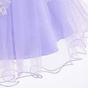 Baby Girls Birthday Dress Infant Ruffled Butterfly Embroidered Special Occasion Dresses (80/12-18M, Purple)