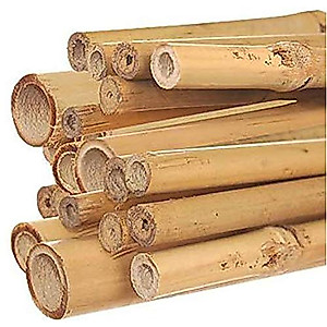 GROW!T Hydrofarm HGBB6 6' Natural, Bamboo Stake, Pack of 25, Tan