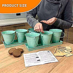 Medicinal Herbs Starter Kit - 6 Different Heirloom, Non GMO Herb Seeds - Cilantro, Basil, Parsley, Oregano, Dill, Thyme - Deluxe Metal Pots, Soil, Markers Included - Made in USA - Indoor and Outdoor