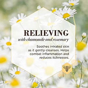 Burt's Bees for Pets Care Plus+ Naturally Derived Hydrating Dog Grooming Paw & Nose Lotion- Dog Paw & Nose Lotion for Relieving Rough Paw Pads and Noses - Made in the USA, 6 Oz