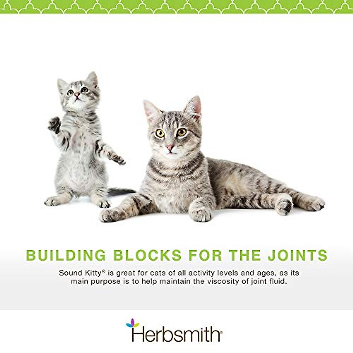 Herbsmith Sound Kitty – 5-in-1 Joint Care for Cats with Chondroitin, Glucosamine & MSM – 75g