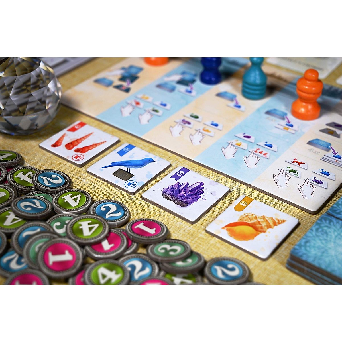 Pencil First Games The Whatnot Cabinet Board Game – A Nature-Themed Game of Collecting Intriguing Objects by Pencil First Games for 1-4 Players