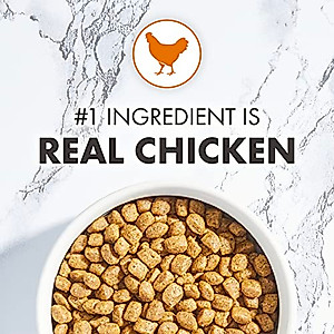 NUTRO WHOLESOME ESSENTIALS Natural Dry Cat Food, Kitten Chicken & Brown Rice Recipe Cat Kibble, 5 lb. Bag