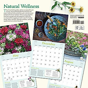 Rosemary Gladstar's Herbs Wall Calendar 2021