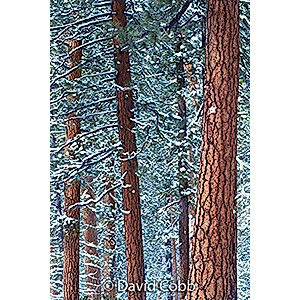 Sierra Club Engagement Calendar 2021