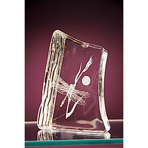 Armour Etch 10-0101 93 Piece Deluxe Glass Etching Kit, Multicolor