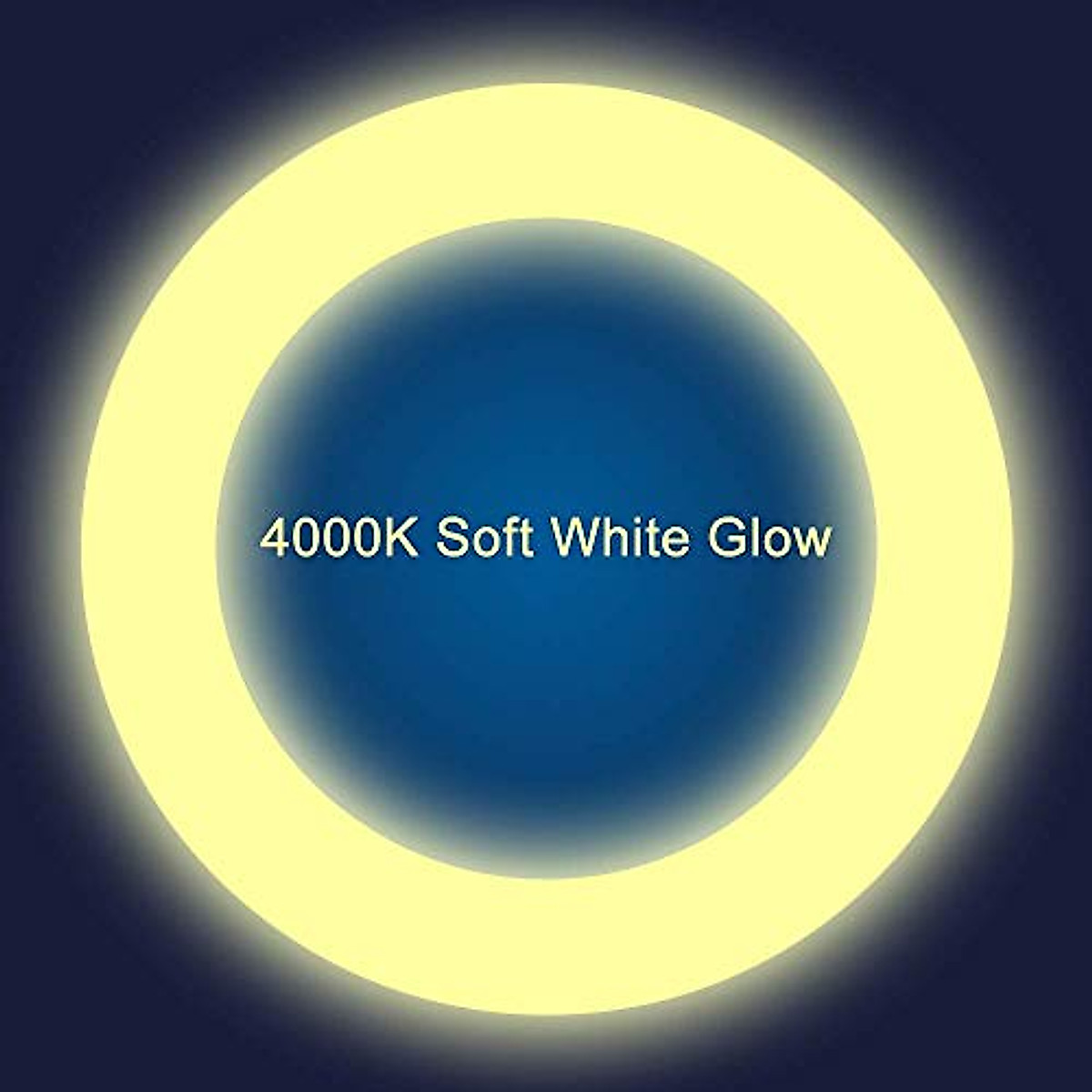 T9 LED Circline Light Bulb, 8 Inch 1600LM LED Circular Light, 13W Clear Cover 4000K Soft White Replacement for FC8T9 22-Watt Fluorescent Circular Bulb(FC8T9), Ballast Bypass Required