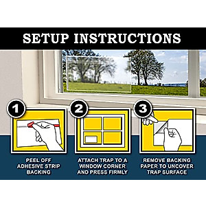 MaxGuard Window Fly Traps (24 XL Traps) Catch & Kill Houseflies, Flying Insects & Bugs. Non-Toxic Sticky Glue Traps Fly Killer Clear Strip Insect Catcher Safe No Zapping with Zapper |