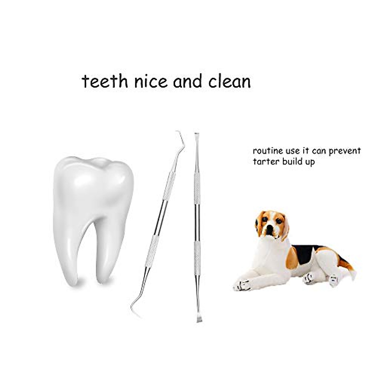 wzhe Dog Tooth Scaler and Scraper - 2 Pack Upgrade Pet Tarter Remover with Different Angles Double Head, Stainless Steel Teeth Cleaning Tools for Dogs