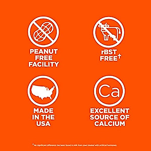 Whisps Cheese Crisps - Parmesan, Asiago, Tomato Basil, BBQ, & Cheddar Cheese Snacks, Keto Snacks, 21-29g of Protein Per Bag, Low Carb, Gluten & Sugar Free, Great Tasting Healthy Snack, All Natural Cheese Crisps - Variety, 2.12 Oz (Pack of 5)