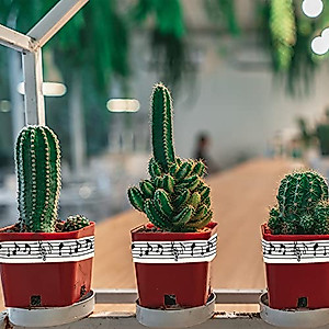 10 Yards Printed Music Note Cotton Ribbon Apparel Hemming Gift Box Packaging Gardening Home Gifts Decoration Fabric Materials Wide 1.5cm