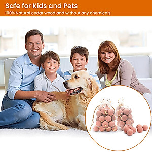 Homode Cedar Blocks for Clothes Storage, 50 Pcs Cedar Balls for Closets and Drawers, Scented Cedar Wood Chips Cedar Closet Freshener