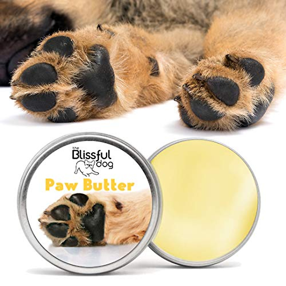 The Blissful Dog Paw Butter for Your Dog's Rough and Dry Paws, 1-Ounce