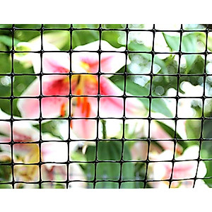 Tenax 60043989 Multi-Purpose Garden Net, 3' x 25', Black