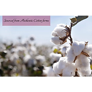 Atrilly Tinnitus Relief for Ringing Ears, Natural Tinnitus Relief Spray, Tinnitus Treatment for Ear Noise & Tinnitus Interference, Improves Hearing