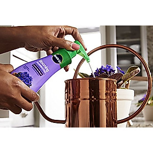 Miracle-Gro Blooming Houseplant Food, 8 oz., Plant Food Feeds All Flowering Houseplants Instantly, Including African Violets