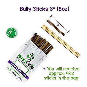 Nature Gnaws Bully Sticks for Dogs - Premium Natural Beef Dental Bones - Long Lasting Dog Chew Treats for Aggressive Chewers - Rawhide Free - 5-6 Inch
