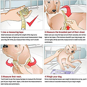 SELMAI Brother cat Dog Small Dog Harness Pink Leash Set Ladies Polka Dot Vest Mesh Padded Lead for Pet Cat Puppy Girls S