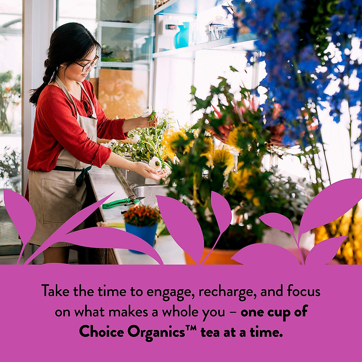 Choice Organics - Organic Darjeeling Tea (6 Pack) - Fair Trade - Compostable - Contains Caffeine - 96 Organic Black Tea Bags