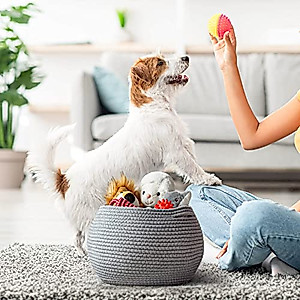 Goodpick Cute Round Basket Cotton Rope Basket Woven Towel Basket Bathroom Small Dog Toy&Cat Toy Basket Storage Basket for Children Corner Plant Basket Shelf Indoor, Gray, 10"D x 8.3"H