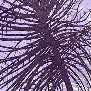 Yifasy Shelf Liner Purple Feather Removable Furniture Paper Cover Drawer Chest Cabinet Doors 17.8 Inch by 9.8 Feet