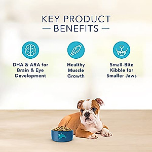 Blue Buffalo Basics Skin & Stomach Care, Natural Puppy Dry Dog Food, Turkey & Potato 24-lb