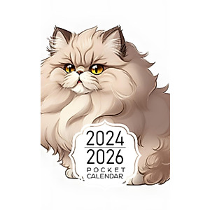 Pocket Calendar 2024-2026: Two-Year Monthly Planner for Purse , 36 Months from January 2024 to December 2026 | Cartoon fluffy persian cat sticker