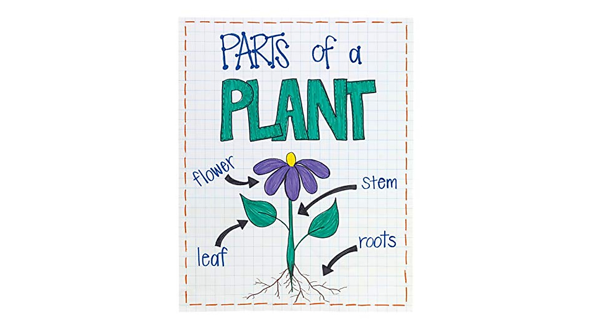 Pacon Heavy Duty Anchor Chart Paper - 1" Grid, 24"x32"