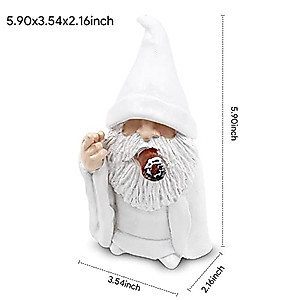 BBdis Funny Garden Gnome Statue,5.9in Naughty Mini Smoking Middle Finger Gnomes Statue for Fairy Garden,Indoor or Outdoor Lawn Garden Christmas Decorations Housewarming Garden Gifts