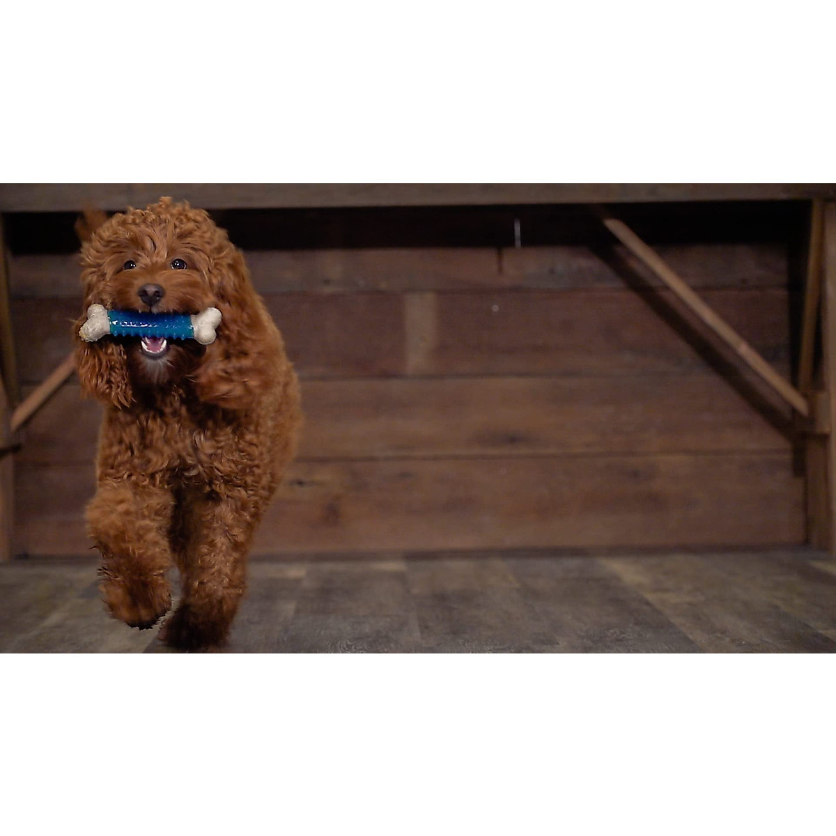 HERO | Bonetics Dental Bone | Dog Bones | Puppy Bones | Designed for Medium Dogs Up to 45 lbs (Mint Flavor)