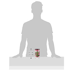 Village Candle Wild Rose Large Tumbler Jar Candle, 19 Oz, Traditions Collection, Pink