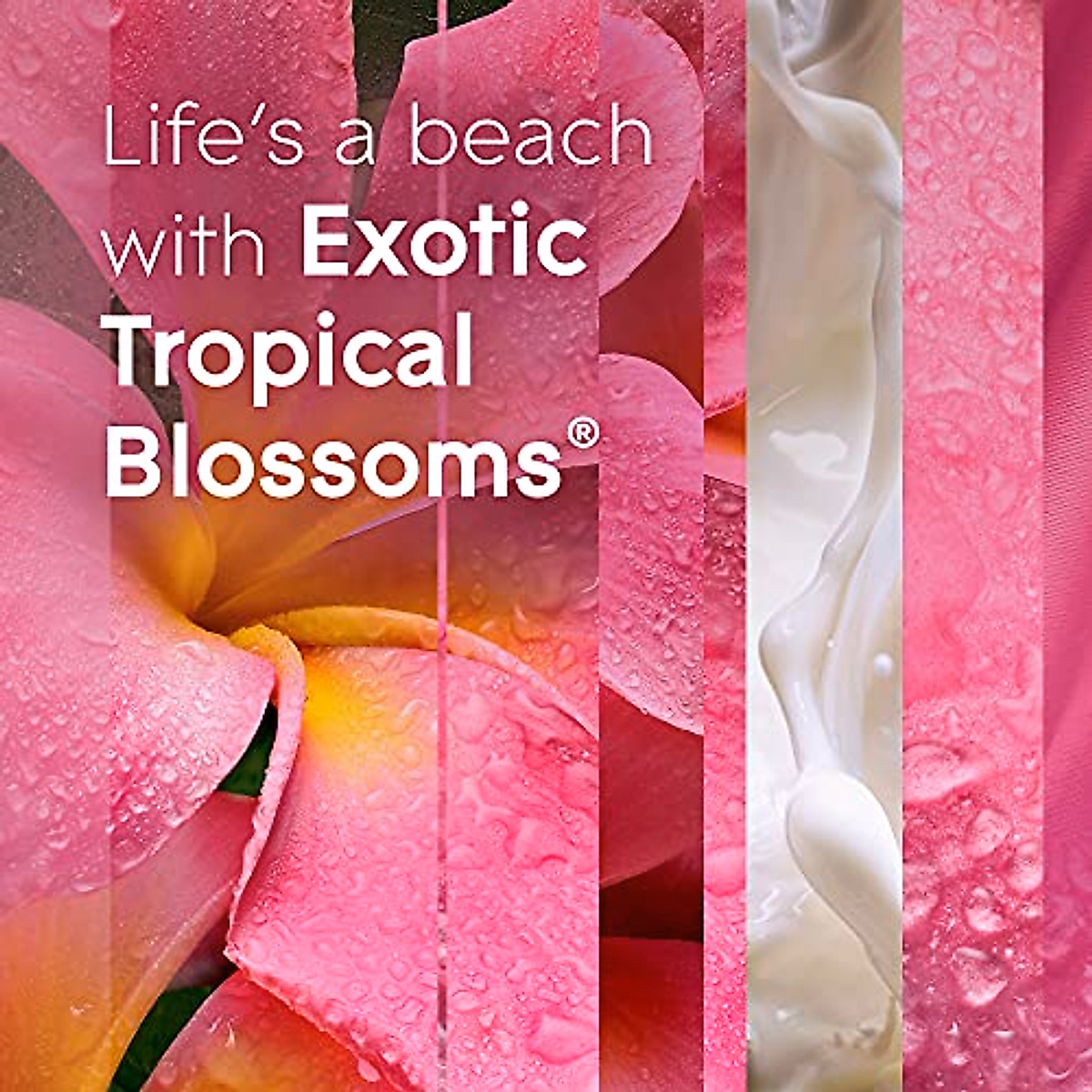 Glade Automatic Spray Refill, Air Freshener for Home and Bathroom, Tropical Blossoms, 6.2 Oz, 3 Count