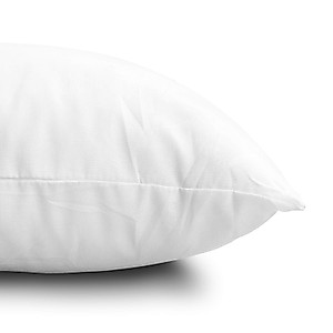 EDOW Throw Pillow Insert, Lightweight Soft Polyester Down Alternative Decorative Pillow, Sham Stuffer, Machine Washable. (White, 12x20)