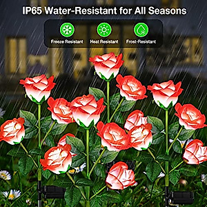 BUCASA Solar Garden Lights Outdoor 4 Pack, Upgraded Waterproof Solar Powered Outdoor Lights with 16 Rose Flowers, Bright Color Changing Solar Flower Lights for Pathway Walkway Patio Yard Lawn