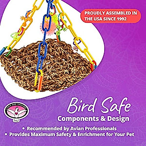 Super Bird Creations SB747 Mini Flying Trapeze Bird Toy, Small Bird Size, 6” x 7” x 9”