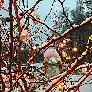 Novelty Lights Incandescent Replacement Bulbs - Outdoor Individual Bulbs For Events, Holiday Parties, Patios, And More - C7/E12 Candelabra Base, 5 Watt Lights (Multicolor, 25 Pack)