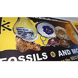 Eco Solvent Ink for Wide Format Sign Printers Using DX4 DX5 DX7 DX9 DX10 DX 11 XP600 TX800 Printhead, Mimaki, Roland, Mutoh (CMYK 4 Liter Set) , Will NOT Work with EcoTank or Small Desktop Printers