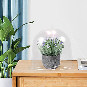 Garden Cloche Plant Protection Cover Outdoor Greenhouse Plant Cover Outdoor Plant Shelter Garden Flower Shelter Winter Plant Protector Plant Nursery Cover Bell Jar Plastic Dome