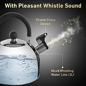 Lily's Home 2 Quart Stainless Steel Whistling Tea Kettle, the Perfect Stovetop Tea and Water Boilers for Your Home, Dorm, Condo or Apartment. (Black)