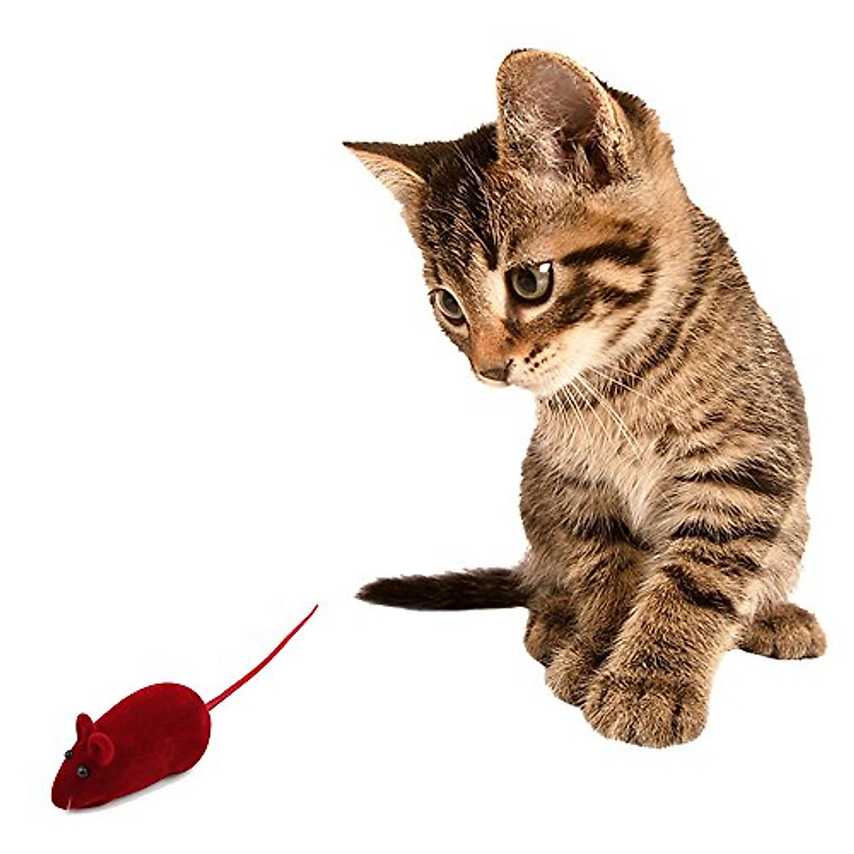 Dog Cat Playing Toy Squeak Noise Toy Lovely Rat Toy Mice False Mouse Bauble 4PCS Multi-colors