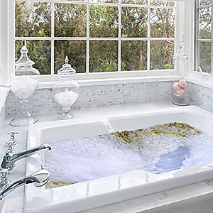 Spa System Flush Super-Cleaner: Hot Tub & Jetted Whirlpool Bath Oily Grime Plumbing Purge 16oz. (2)