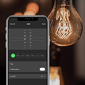 Aoycocr Smart Dimmer Plug 2 Sockets, Outdoor Smart Outlet Work with Alexa Google Home Light Dimmer APP Remote Control Max Power 400W IP55 Waterproof for Dimmable Outdoor Lights Floor Lamp Table Lamp