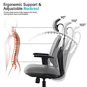 EUREKA ERGONOMIC Ergonomic Office Chair with Back Support, Home Office Desk Chairs Dual Backrests Office Chair, Executive Office Chair Adjustable Arms, Best Office Chair for Lower Back Pain, Beige
