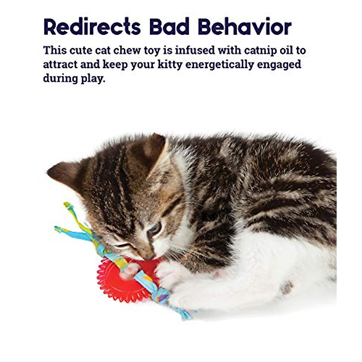 Catstages Dental Kitty Chew Wheel Catnip Cat Toy