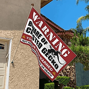 Stuff For Your Room Beware Of Crested Gecko Flag Girl Flags For Bedroom Men Stuff (Size : 120X180CM)