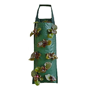 Nutley's Hanging Strawberry Growbag Planter (Pack of 2)