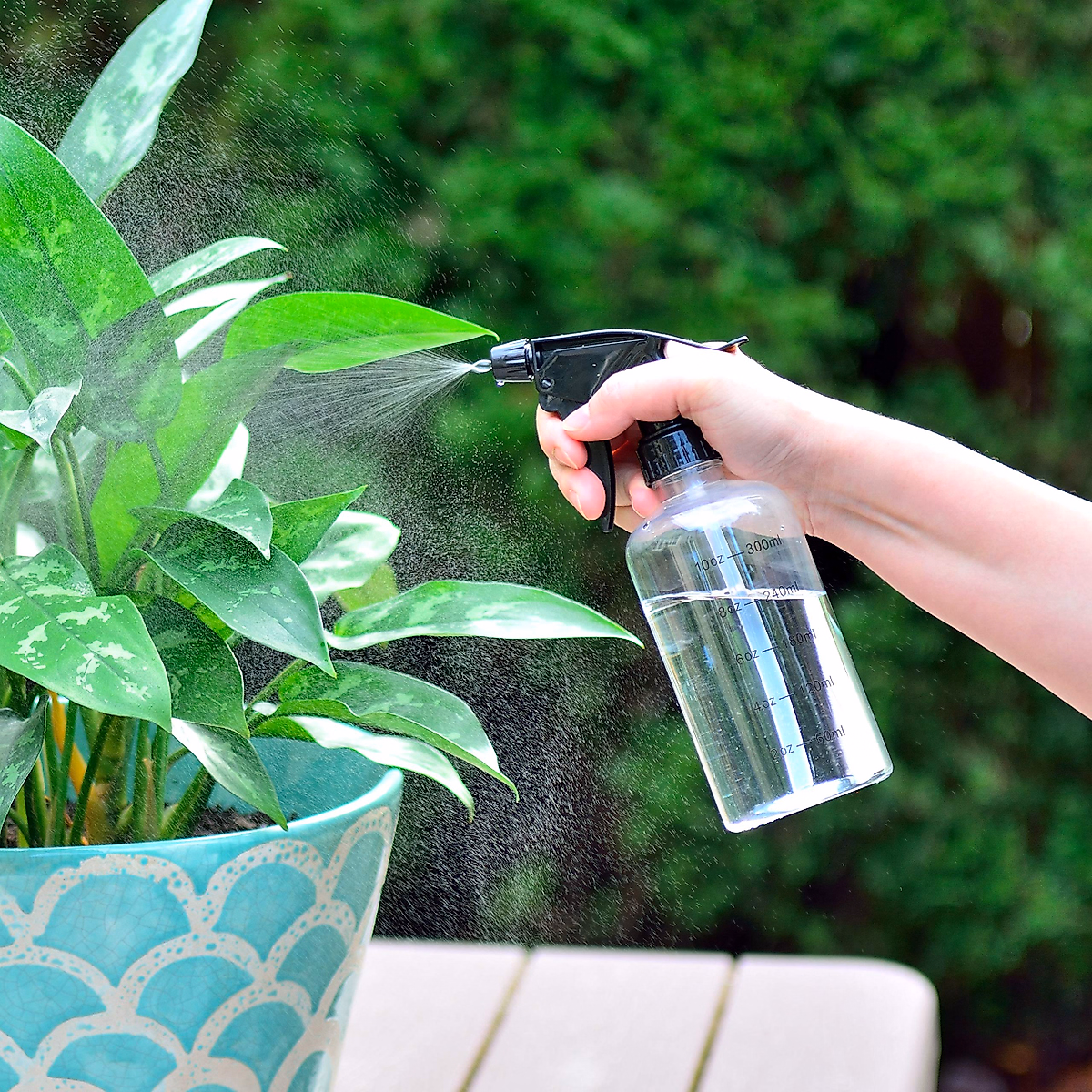 Youngever 6 Pack Empty Plastic Spray Bottles, Spray Bottles for Hair and Cleaning Solutions (8oz)