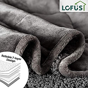Lofus Sherpa Fleece Weighted Blanket 20 lbs Heavy Blanket with Soft Plush Flannel Reversible Full-Size Super Soft Extra Warm Cozy Fluffy Blanket 60 x 80 inches for Adult Bed Couch, Grey