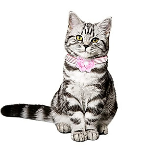 Matching Collar and Bracelet Male Dog 2 Adjustable Sizes Personalized Rhinestone Flower Tie Cotton Girls Cat Collar with Metal Buckle Puppy Collars for Cat Pet Gift