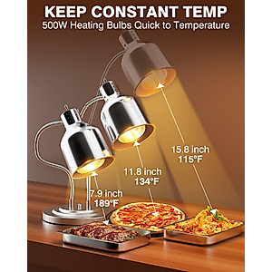 PYY Food Heat Lamp, Commercial Food Warmer, 2-Head Food Warming Light, 500W Portable Electric Heating Lamp, Stainless Steel Catering Food Warming Lamp for Restaurant Kitchen Cafeteria